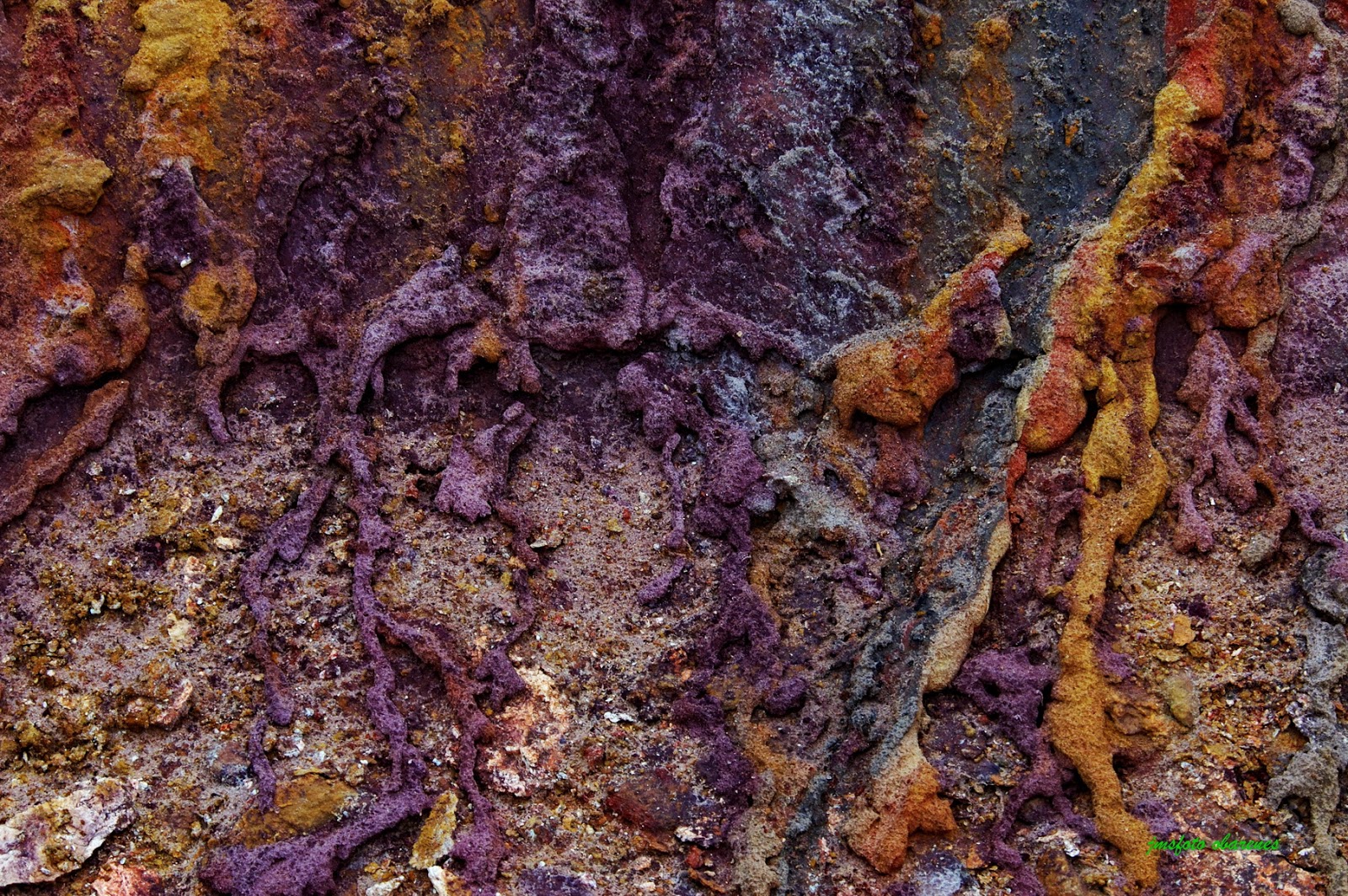 MONTES OBARENES ENTORNO Y VIDA: Colores de la tierra (I)