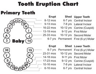 Tales of the Flowers: Ian loses his 8th tooth - 2022/05/21