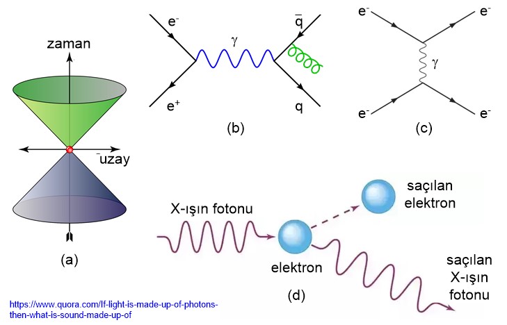 Prof. Dr. Bilsen Beşergil: Foton (photon)