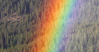 In search of the Pierian Spring