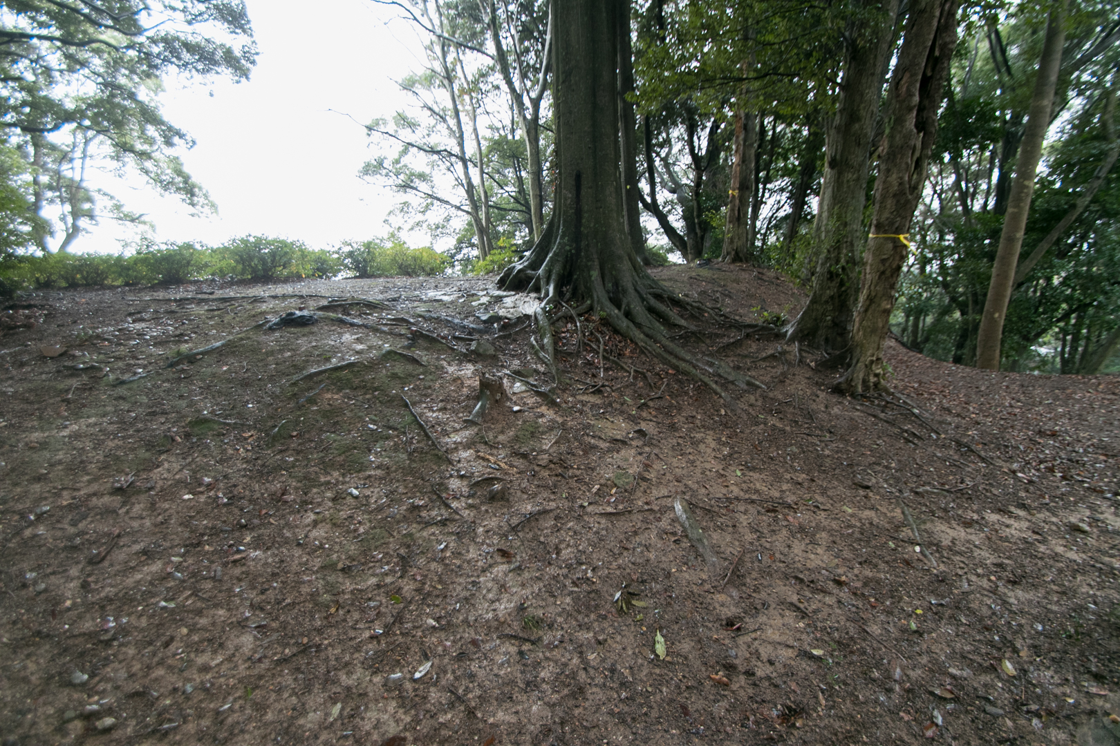 Nanao Castle (Iwami) -Preparation for both of war and peace- | Ken's ...