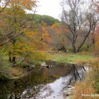 Data-Driven Viewpoints: Mine Hill, Headwaters of the Lamington River