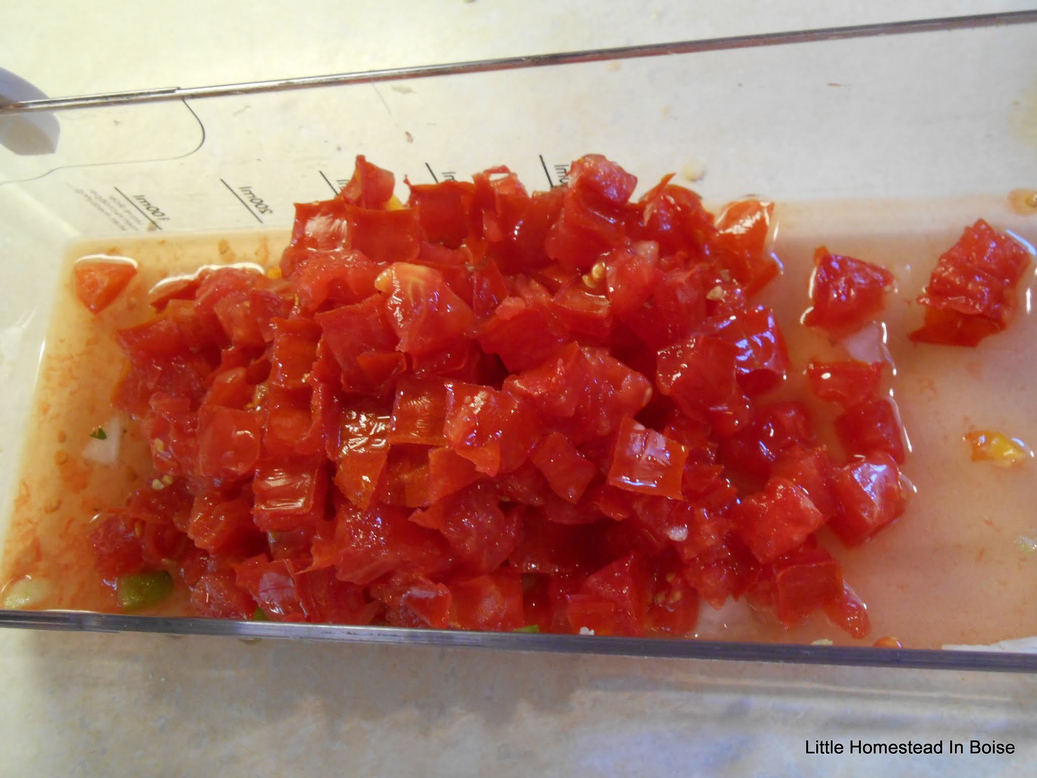 Little Homestead In Boise : Day Trip, Drying Squash, Review Vidalia ...