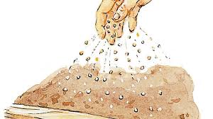 7 STEPS TO A SUCCESSFUL LEAFY VEGETABLES GARDEN - Dyammoblog