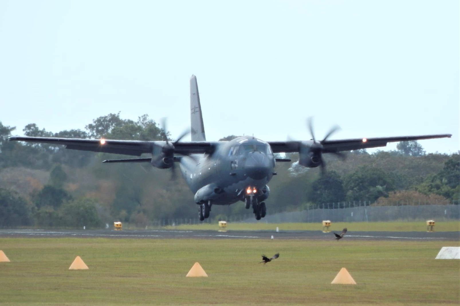 Central Queensland Plane Spotting: Royal Australian Air Force (RAAF ...