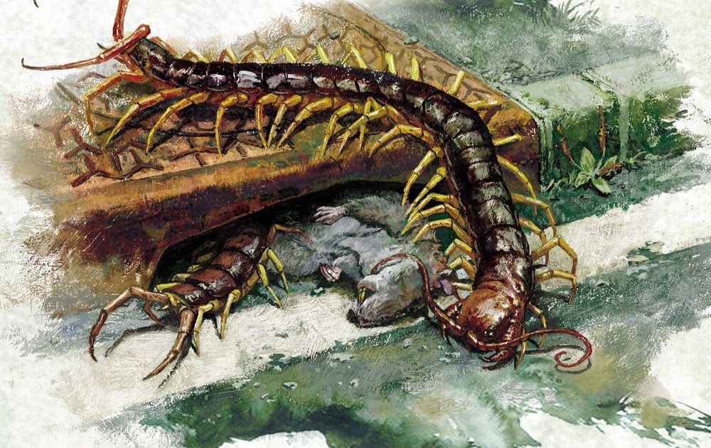 Présentation des auteurs de Vermine 2047 | Studio Agate - French ...