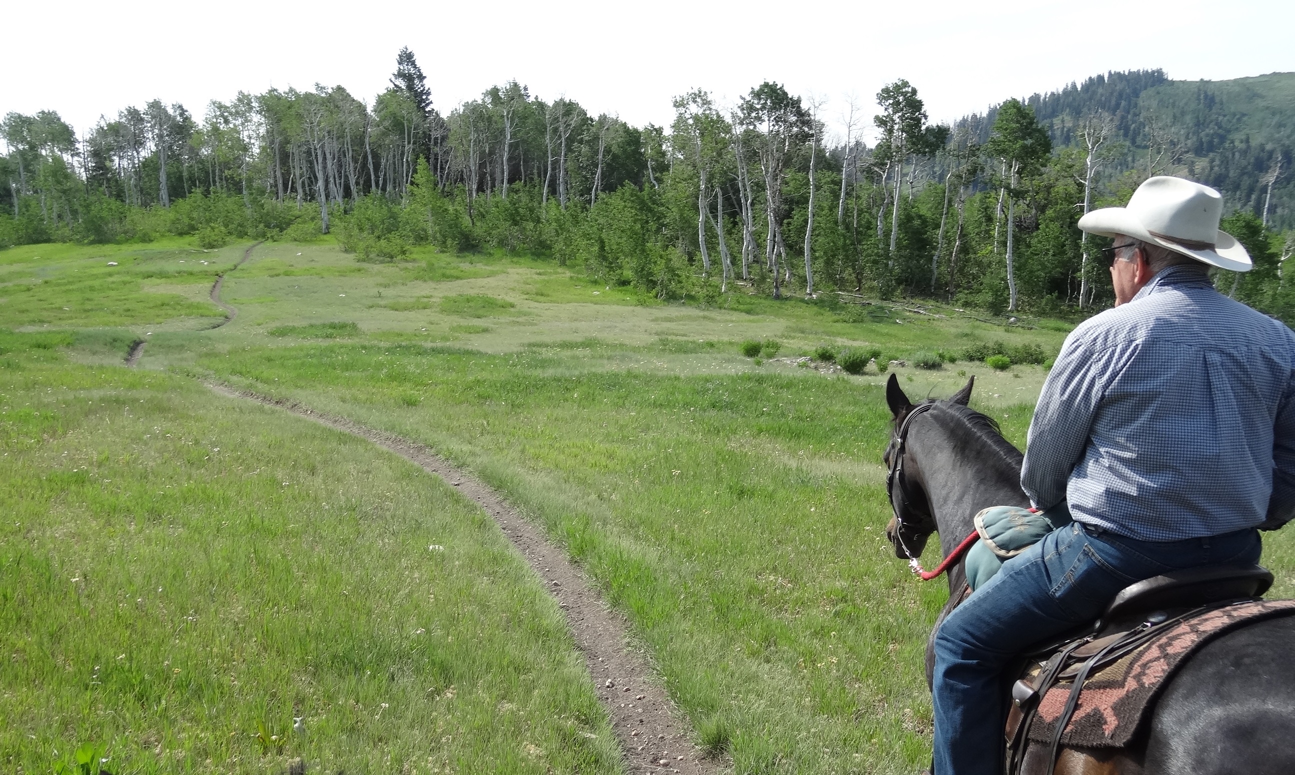 Dream Packer Trail Adventures: Nebo Loop~~Done Ridge
