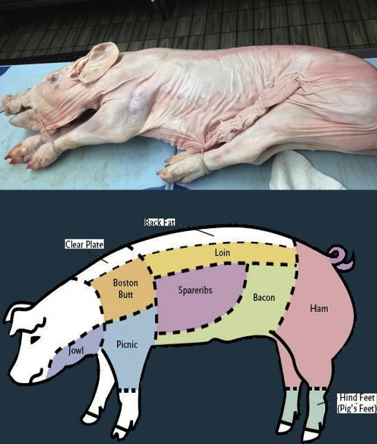 Kiko Cooks: December 2011