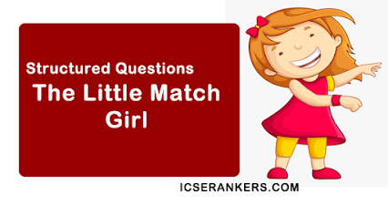 Questions Answers of The Little Match Girl Treasure Trove