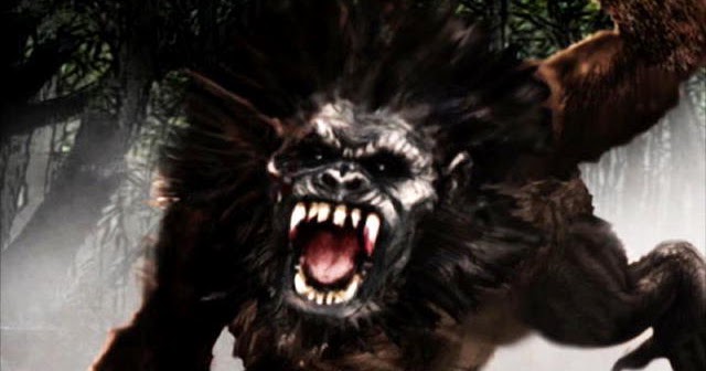 Creepy Encounters With The Devil Monkeys