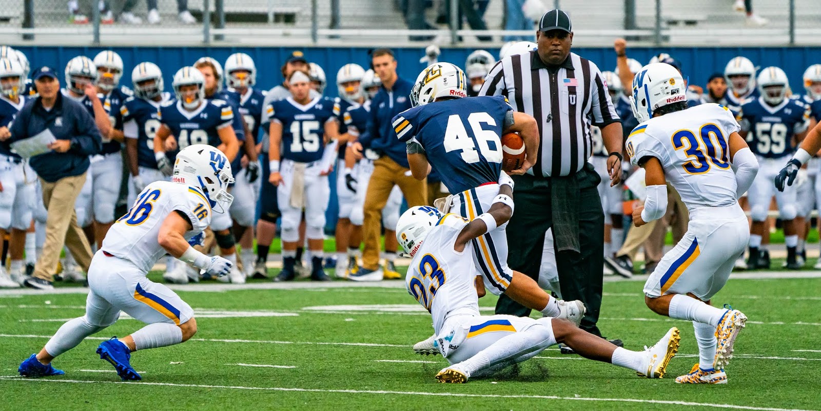 Lycoming Football: Lycoming Football - Guida, Snavely lead Warriors to ...