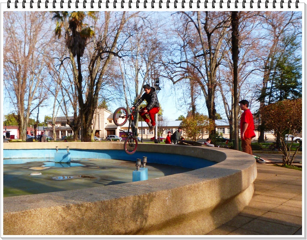 El Vecinal: Bulnes (CHILE), viernes 25 de julio de 2014