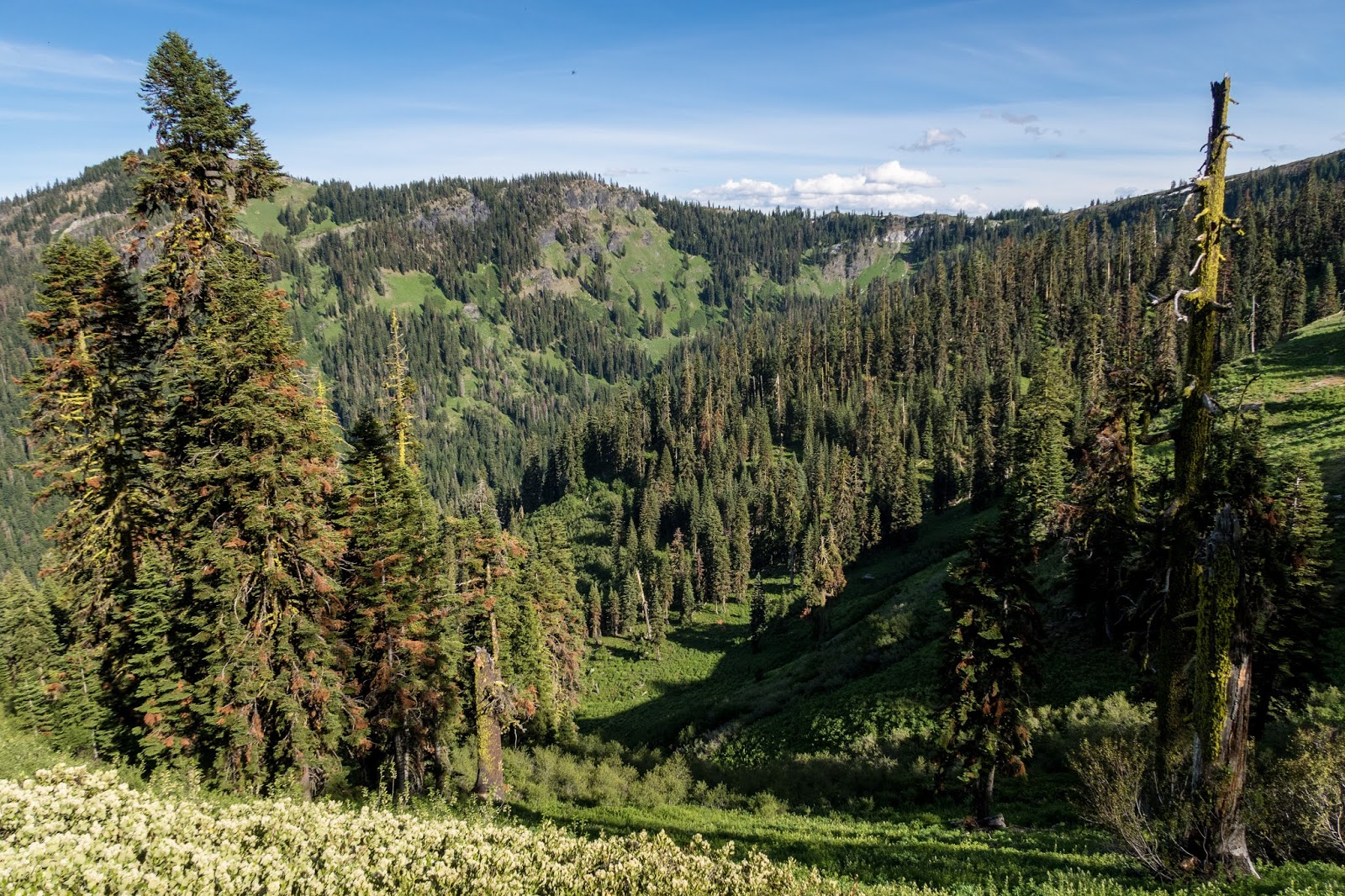 Eric's Hikes: Marble Mountains: Sky High Lakes, Marble Rim, Pacific ...