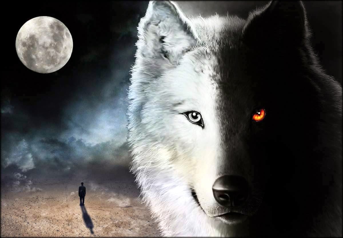 leven in poëzie: The story of the two wolves – a Cherokee Tale