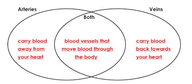 Mrs. Sheppard Grade 5 : Science Materials
