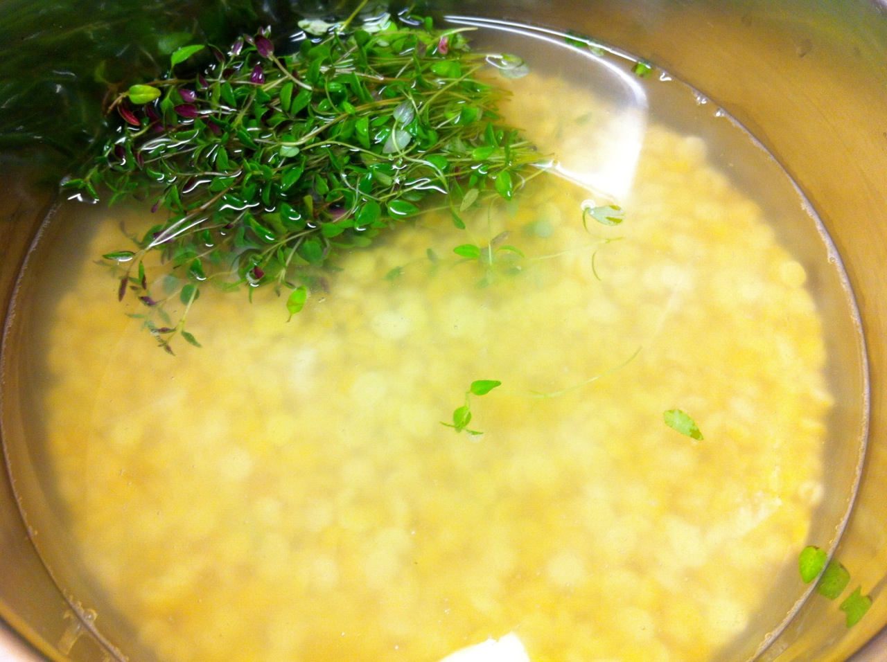 SVIRELIV: ...:..:::..AFTENSMAD : GULE ÆRTER..:::..:...