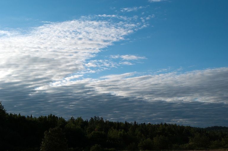 Me, Boomer and The Vermilon River: Skies, Scenes, Birds, Turtle Love ...