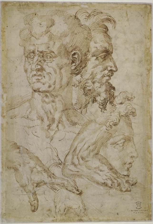 Spencer Alley: Baccio Bandinelli II