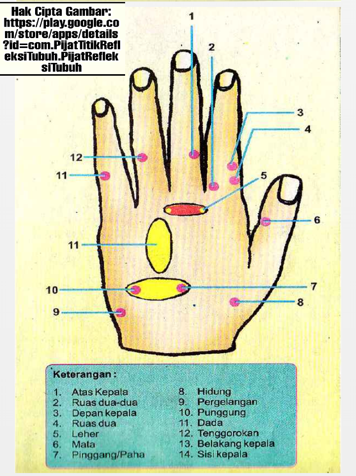 Panduan Lengkap Cara Pijat Refleksi yang Tepat & Benar Plus Gambar ...