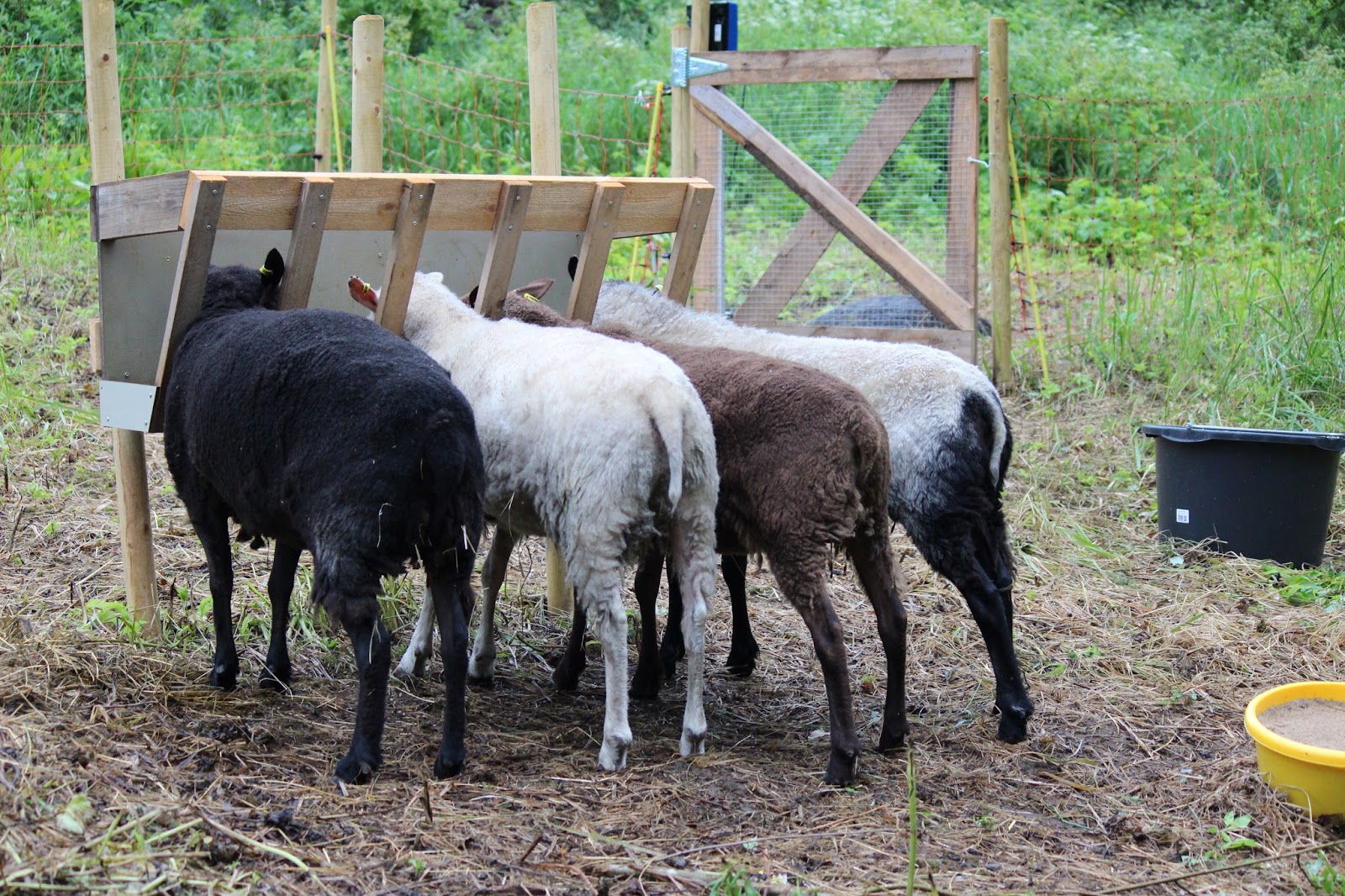 Villa Millington: Lampola valmistautuu kesään