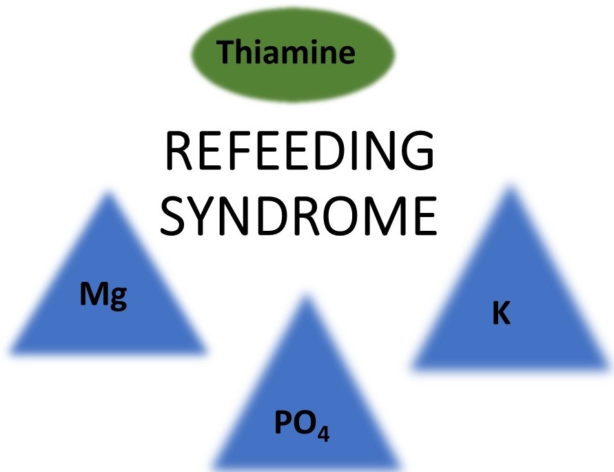Dialogue on Nutrition Care Process | Esther F Myers
