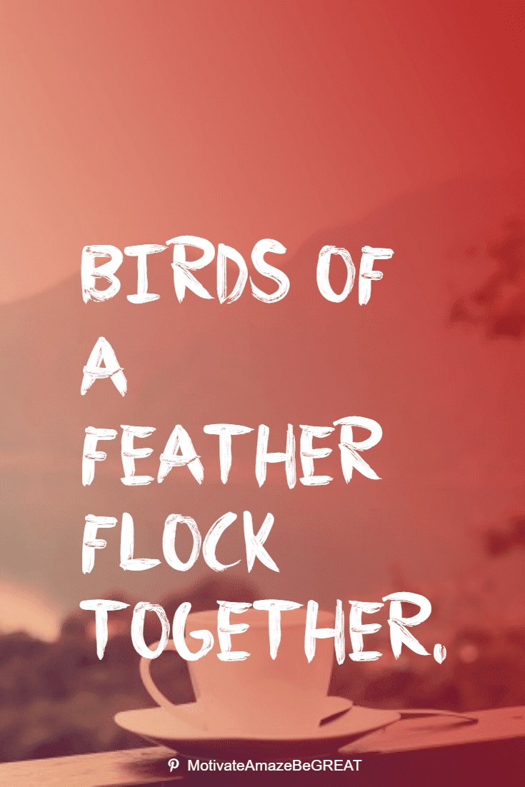 47 Wise Old Sayings And Proverbs To Succeed Today