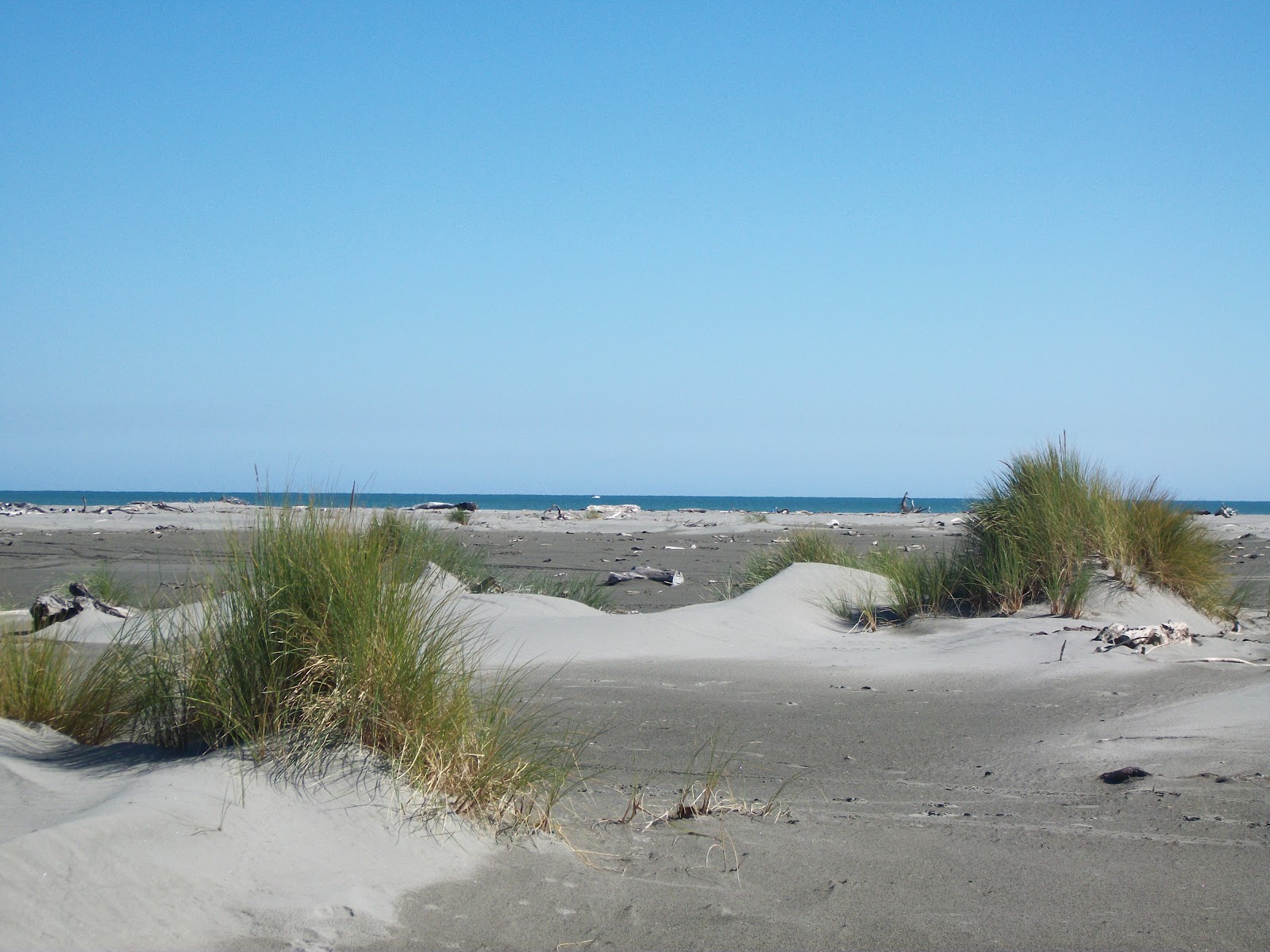 Film Guru Lad Goes to New Zealand: Otaki Beach
