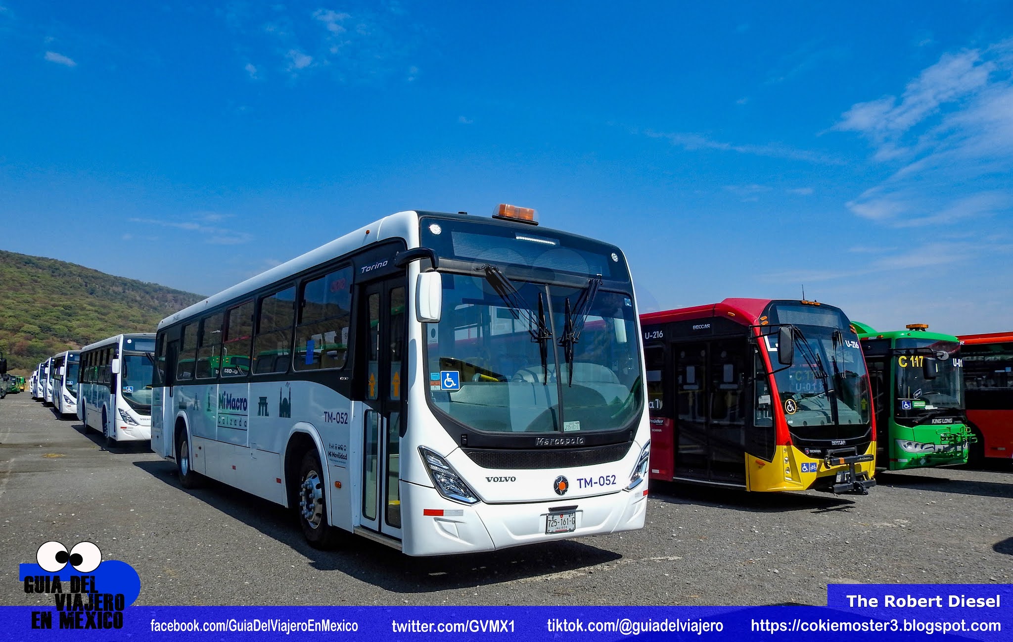 Nuevos Marcopolo Torino para Mi Macro Calzada