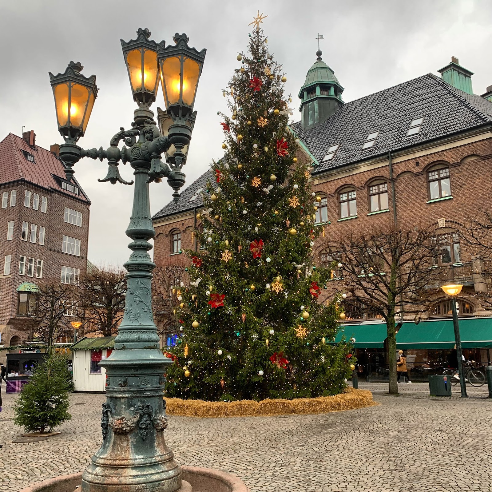 Destination Lund Sweden: Tourism, history and culture: Christmas tree ...