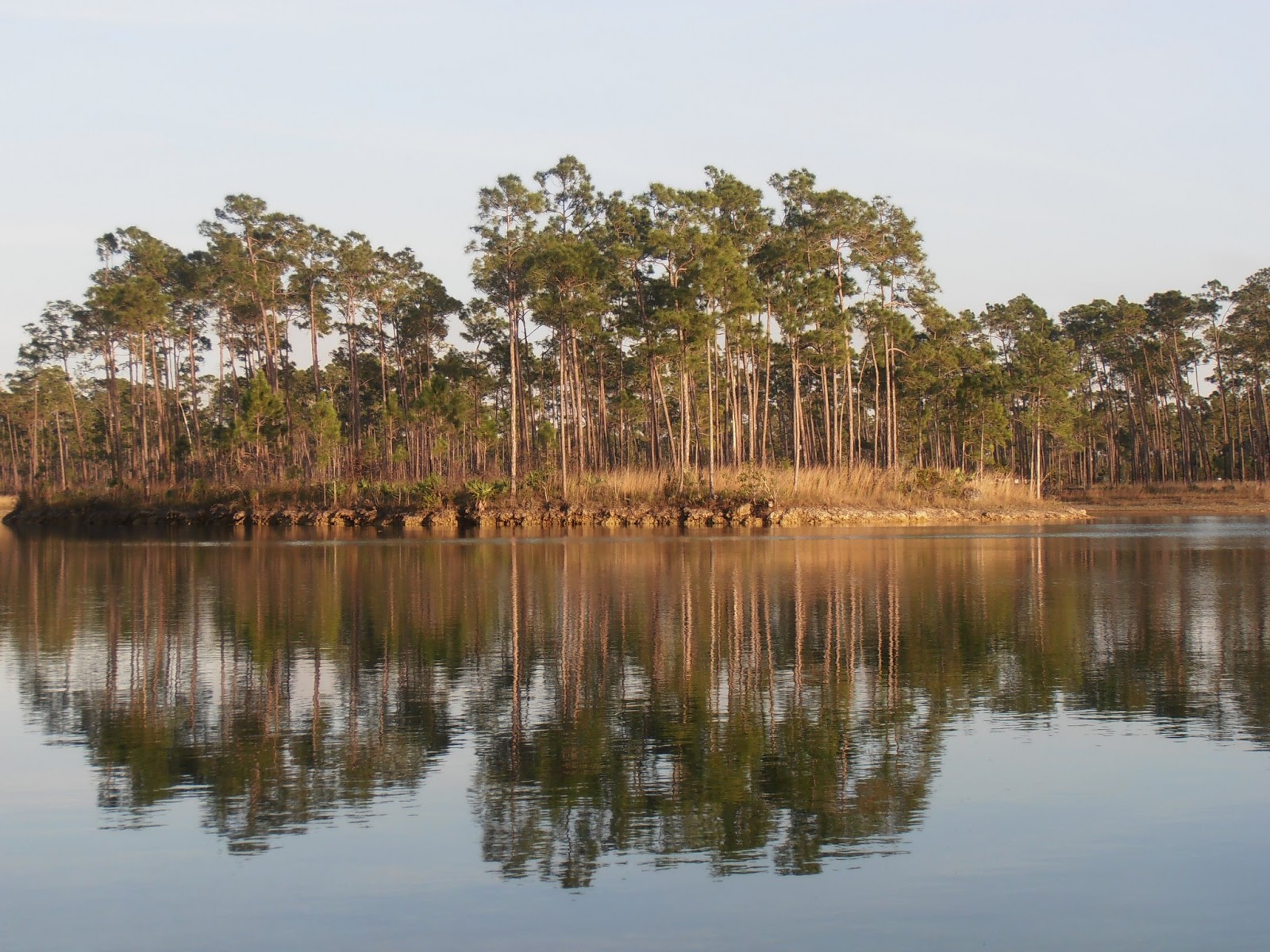 American Travel Journal: Bike Hike Long Pine Key - Everglades National Park