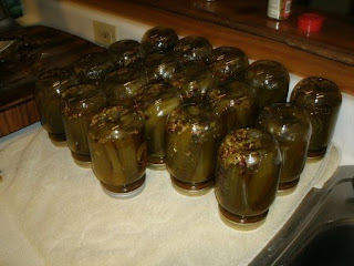 The Frugal Poet: Fourteen Day Icicle Pickles