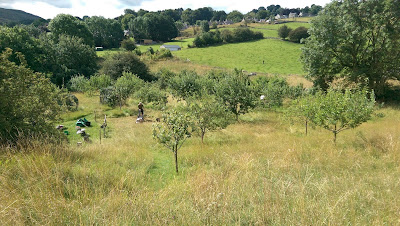 Bradwell Community Orchard