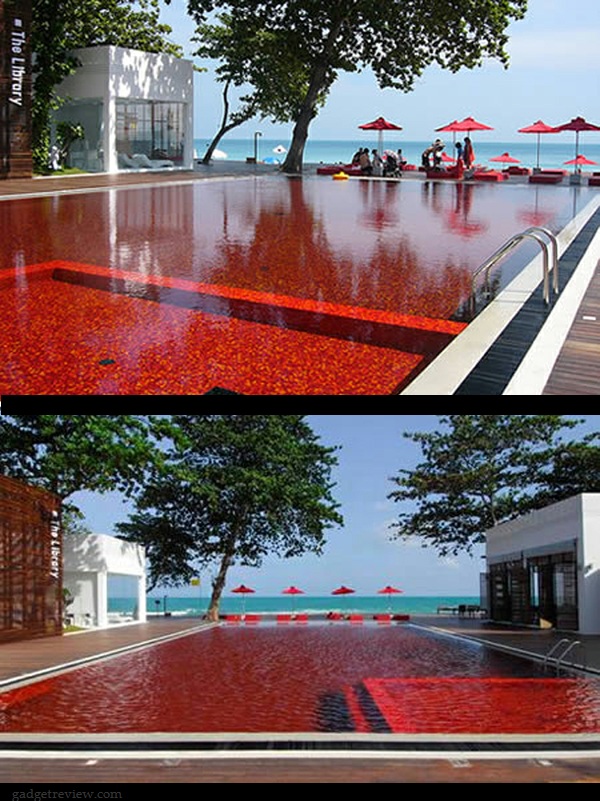 Renée Finberg ' TELLS ALL ' in her blog of her Adventures in Design ...