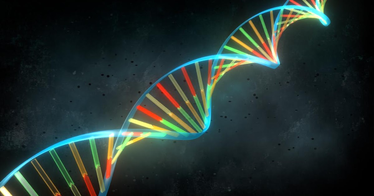 Estructura del ADN: el modelo de Watson y Crick - Biología