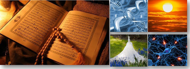 WriteUpZone: Islam and Science