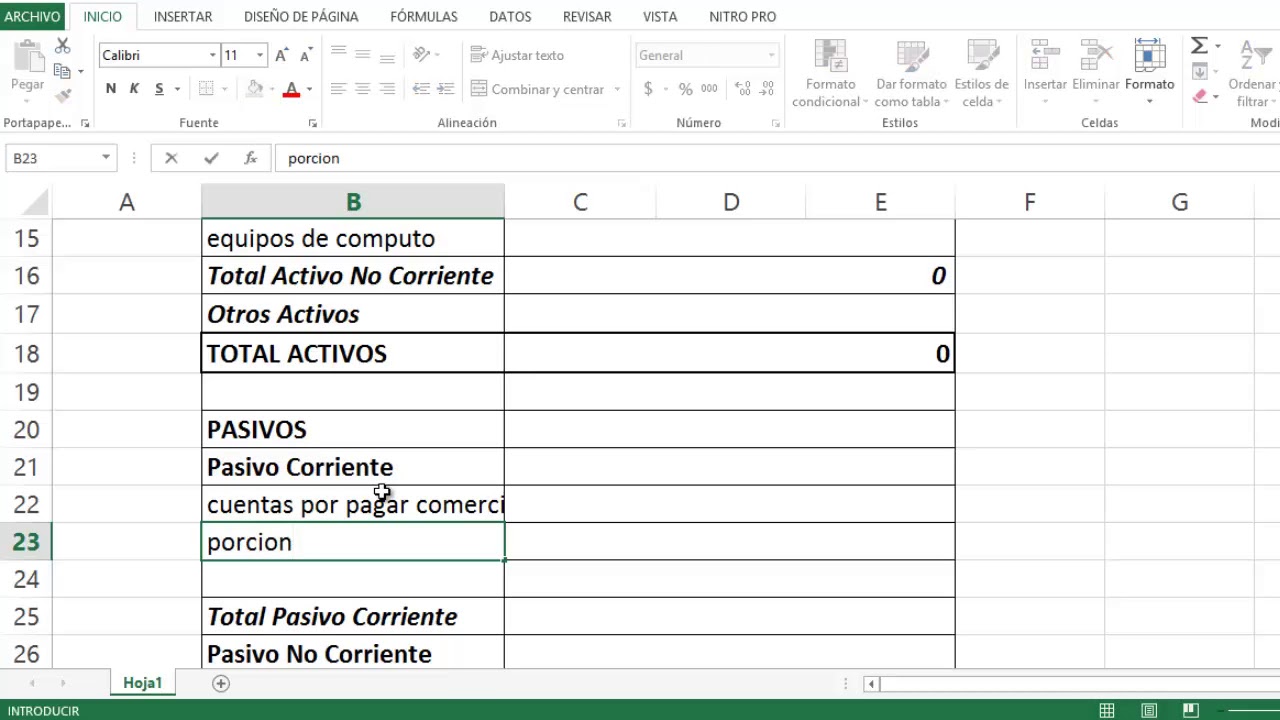 Formato Balance Inicial En Excel ~ Medical Resume