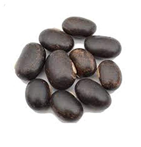 IndianJadiBooti.com: Kaunch beej