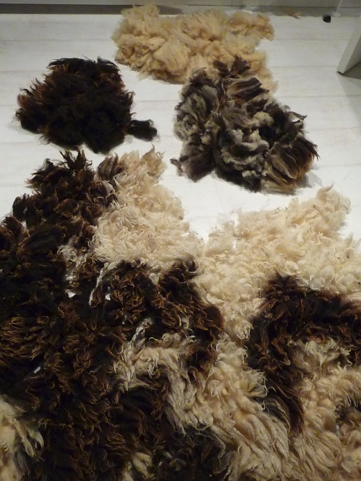 Wool - Tribulations of Hand Spinning and Herbal Dyeing: Skirting and ...