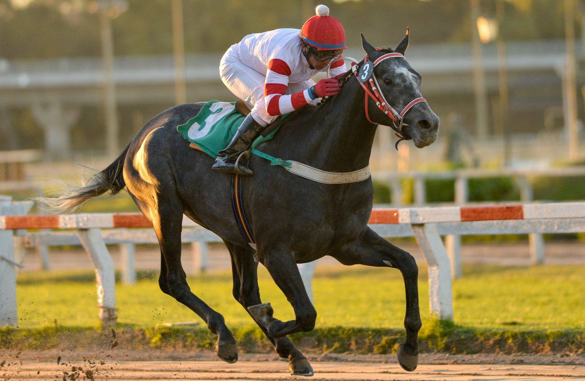 Turf Nacional: Miriñaque y su paso por EE. UU.