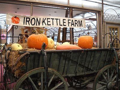 Slowly Slimming Sharon: Ithaca NY, Day 2: Iron Kettle Farm