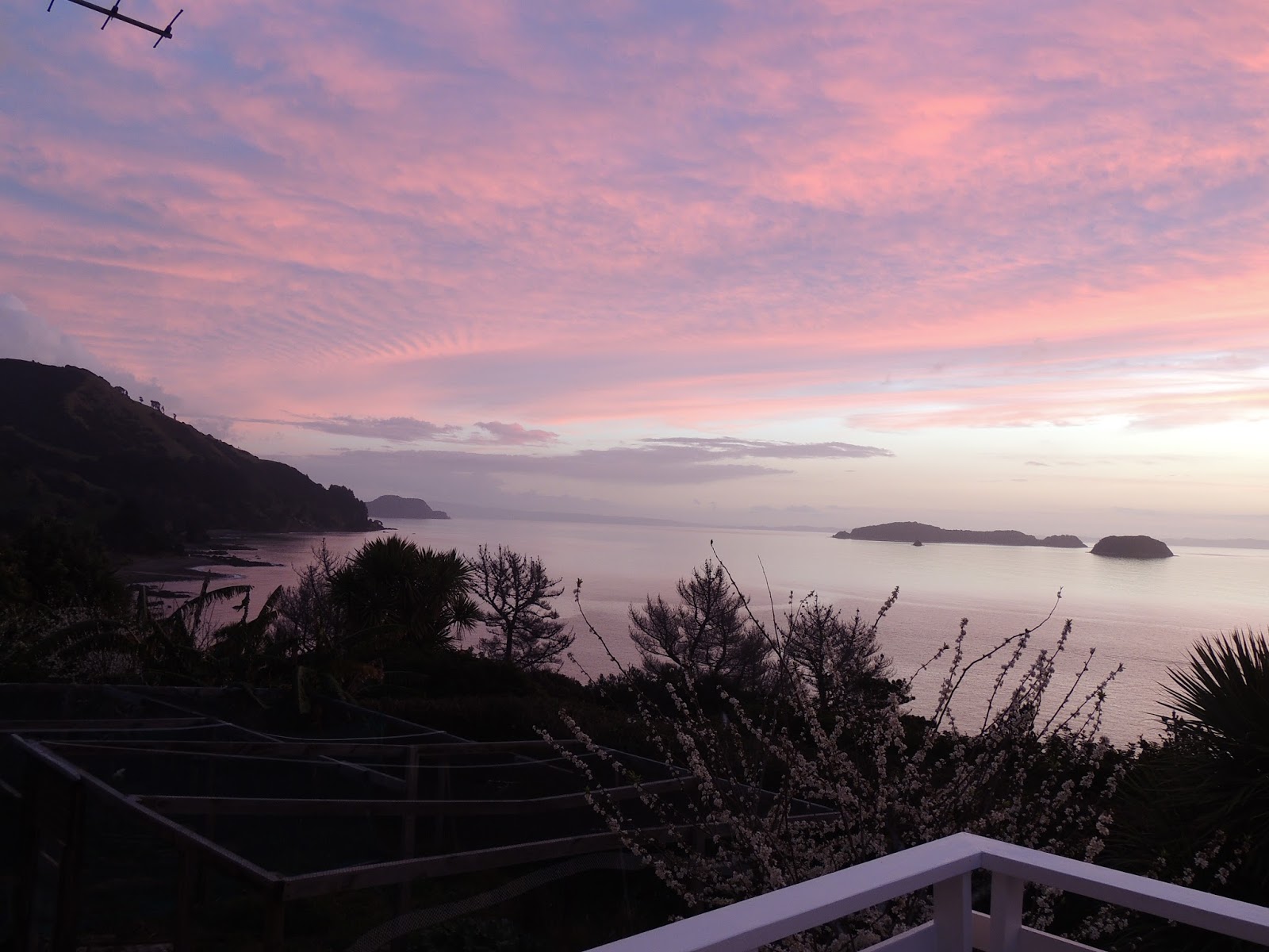 THE ROAD TAKEN : Amodeo Bay All Day