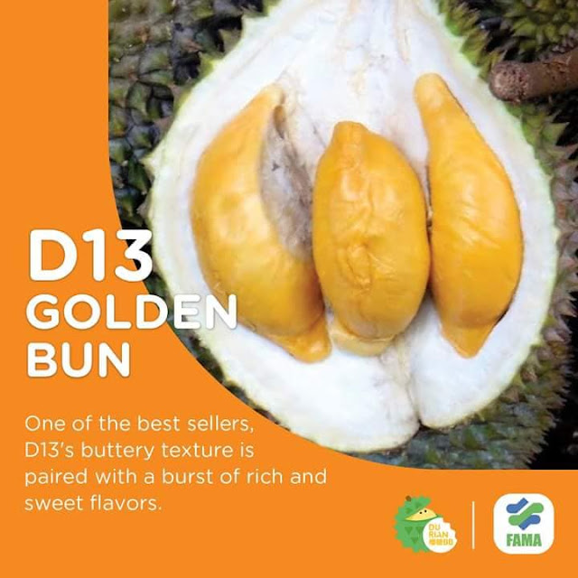 24 Jenis-Jenis Durian Beserta Nombor Code Yang RARE, Jarang Kita Dengar