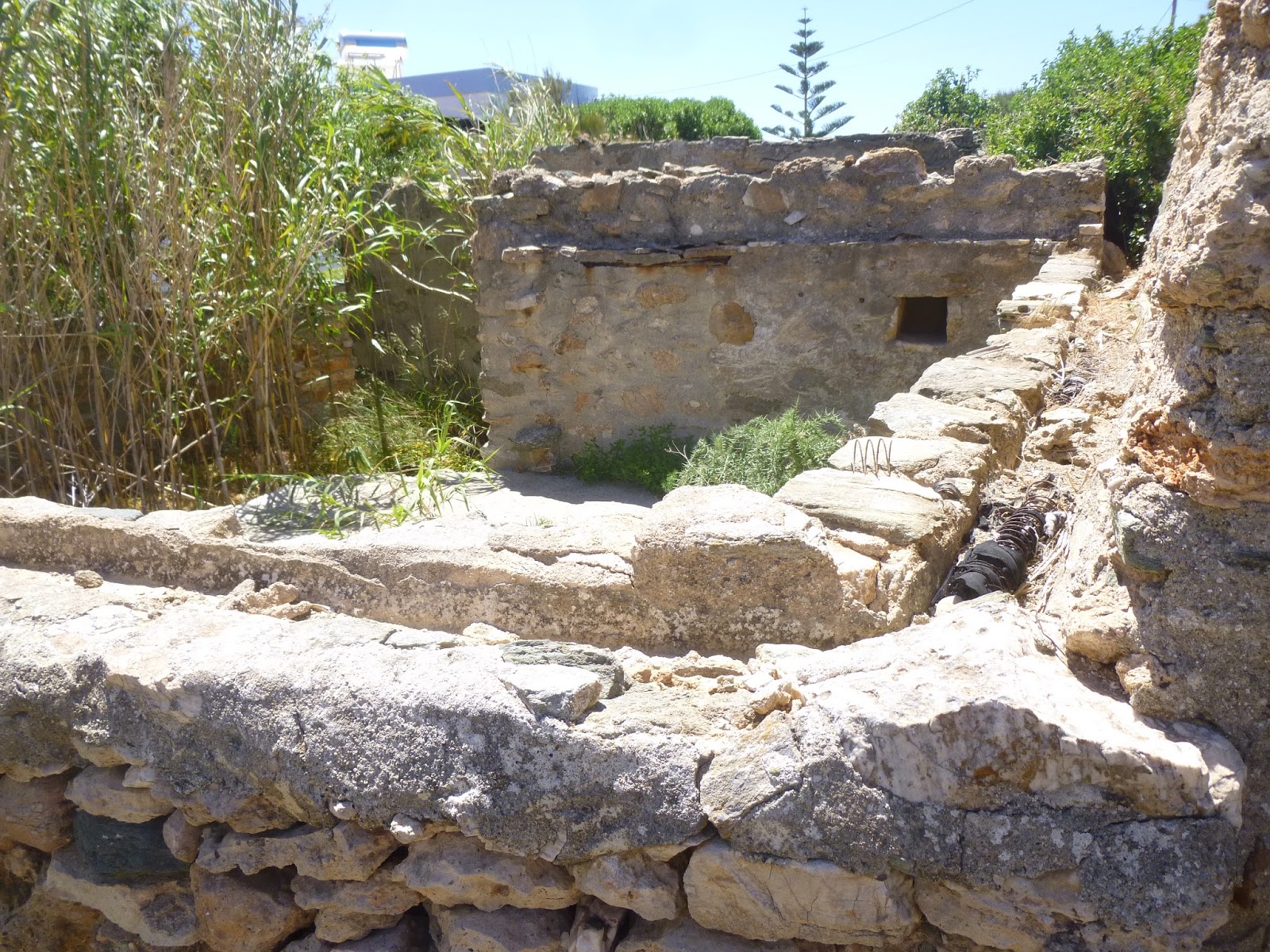 ΓΙΑΝΝΗΣ Δ.ΛΥΡΑΣ: ΜΑΓΓΑΝΟΠΗΓΑΔΑ ΣΤΗ ΣΥΡΟ-ΤΗΝΟ.ΠΕΡΙΒΑΛΛΟΝΤΙΚΟ ΠΡΟΓΡΑΜΜΑ ...