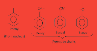 What is difference between phenyl, benzyl, benzal and benzo group?