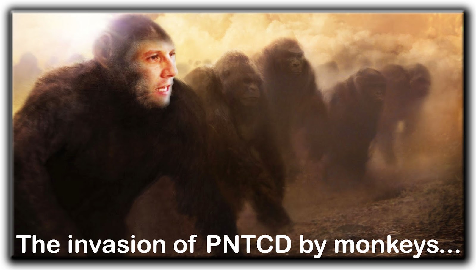 BLOG DE NATIONAL-TÃRÃNIST MONARHIST DIN GALATI: INVAZIA MAIMUTELOR ÎN ...