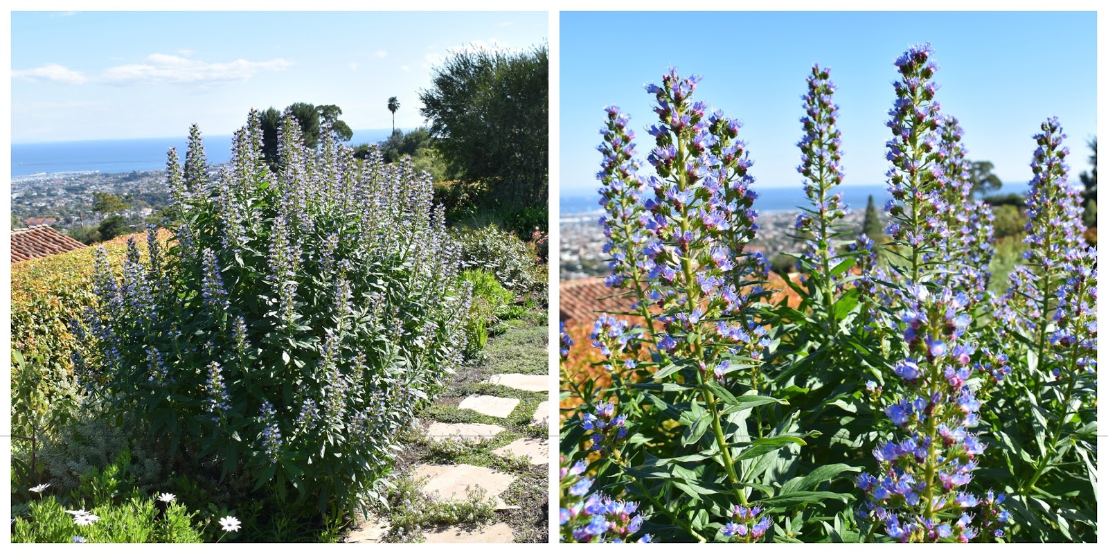 Late to the Garden Party: Tell the Truth Tuesday (Late Edition): An ...