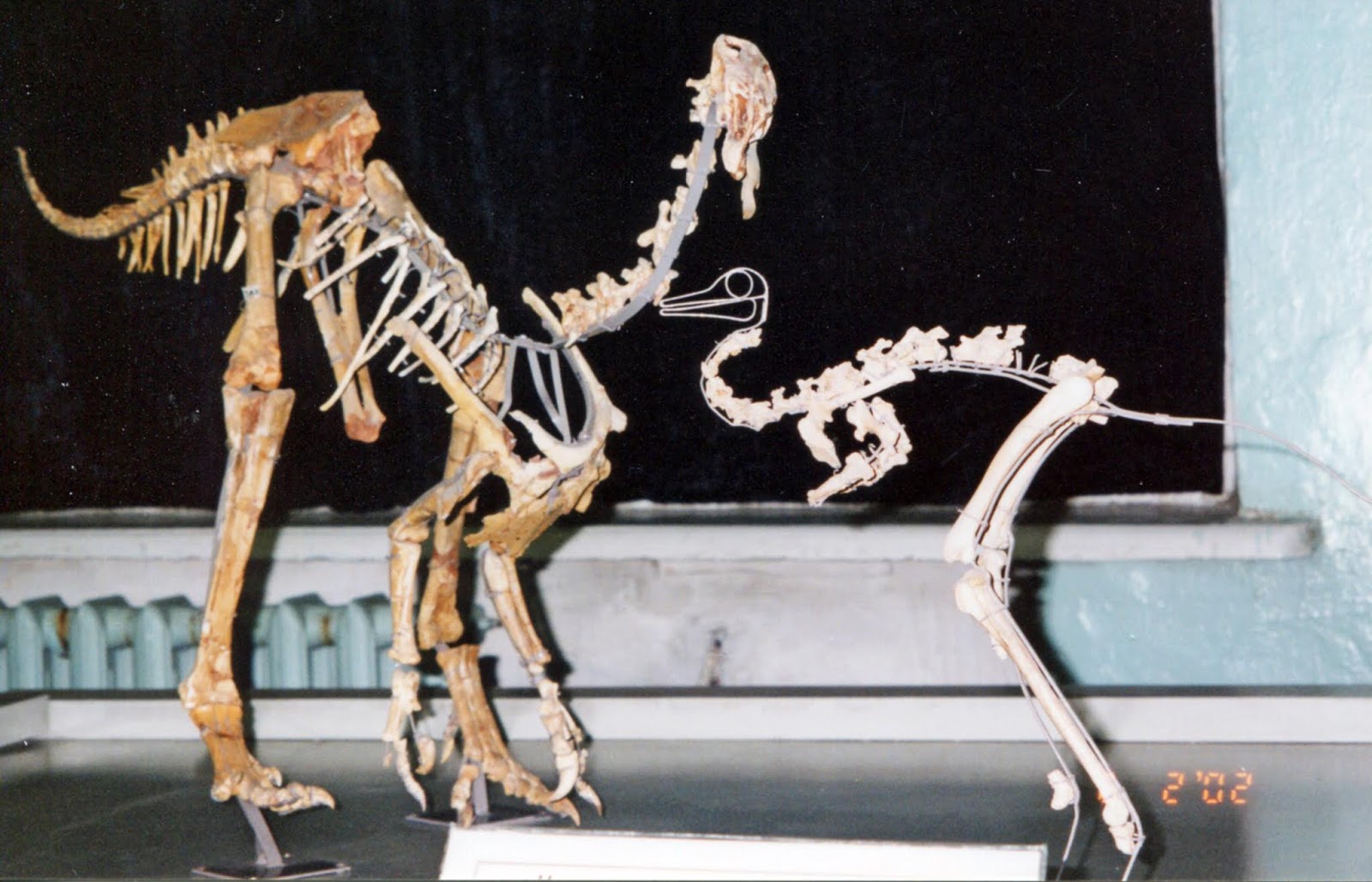 Equatorial Minnesota: Mongolian dinosaurs, 2002