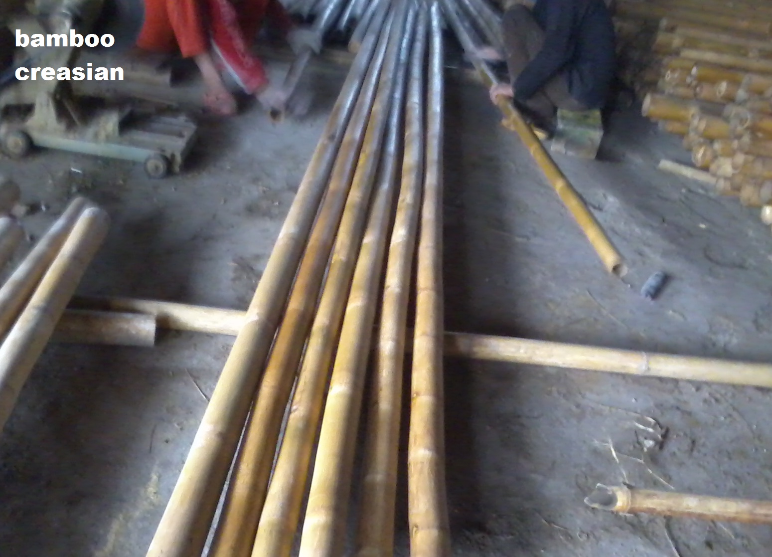Bamboo Poles for - Fencing, Rafting, RailingTiki | Bamboo Creasian in ...