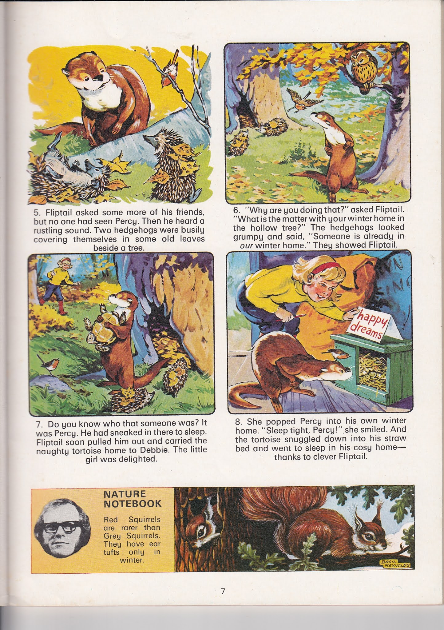 Boys Adventure Comics: Goodies fun book (2)