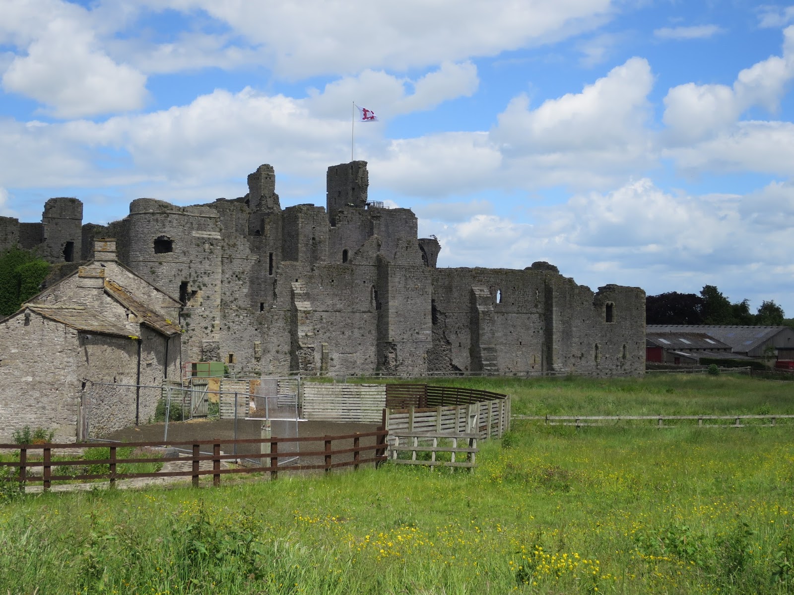 The star trails on Friday night over camp